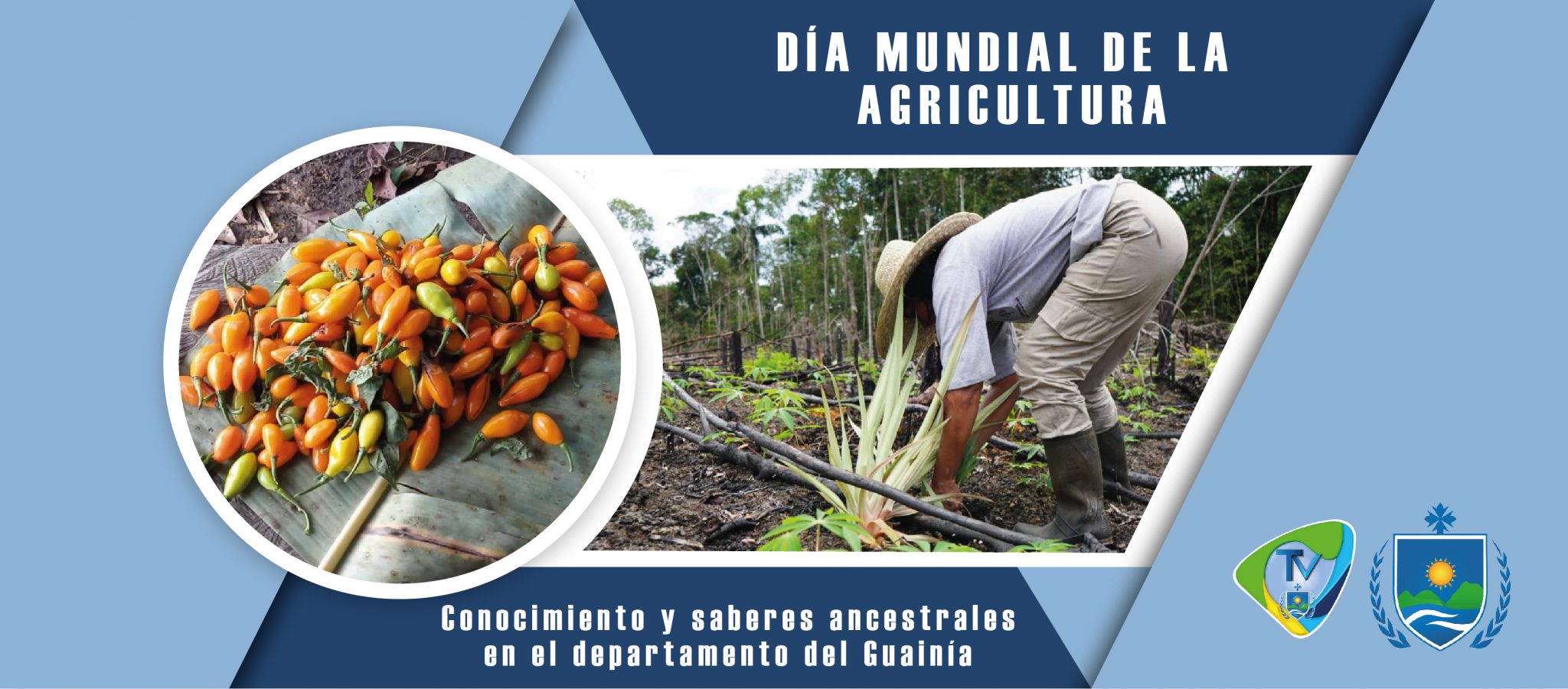 AGRICULTURA, CONOCIMIENTO Y SABERES ANCESTRALES EN EL DEPARTAMENTO DEL ...